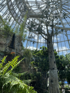 Visit Houston Museums for Free
